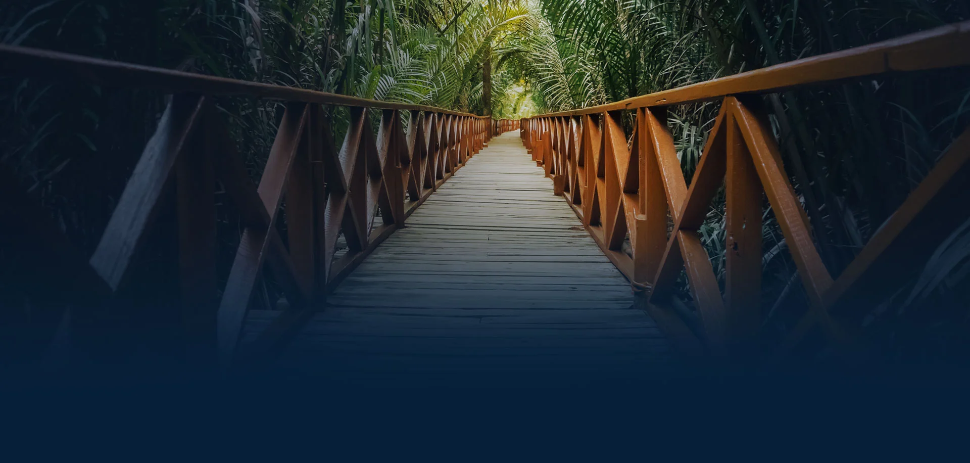 Angular Development Company | TatvaSoft UK Angular Development Company | TatvaSoft UK