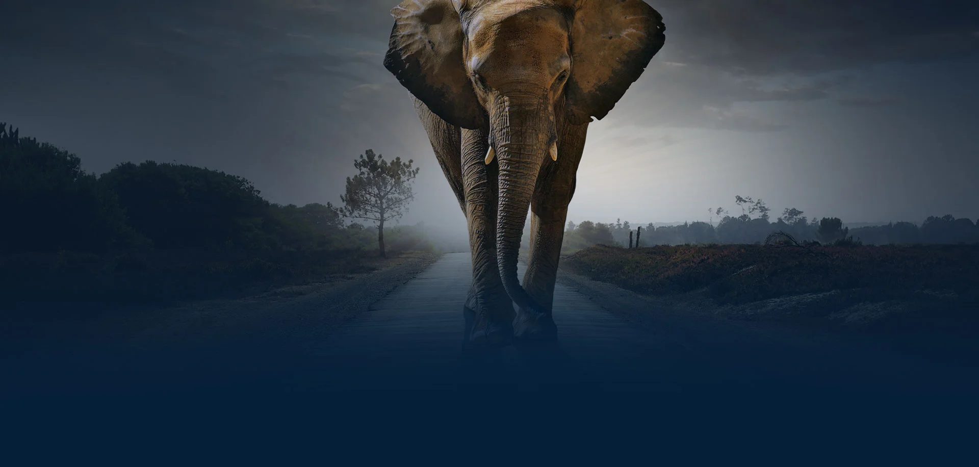 Php Web Development Company Tatvasoft Uk